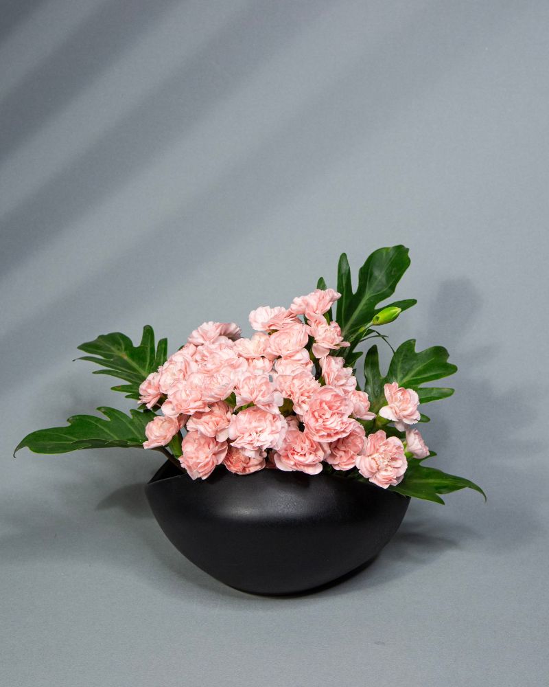 Small Whirl Bowl Matt Black | Ware Innovations | Buy Now